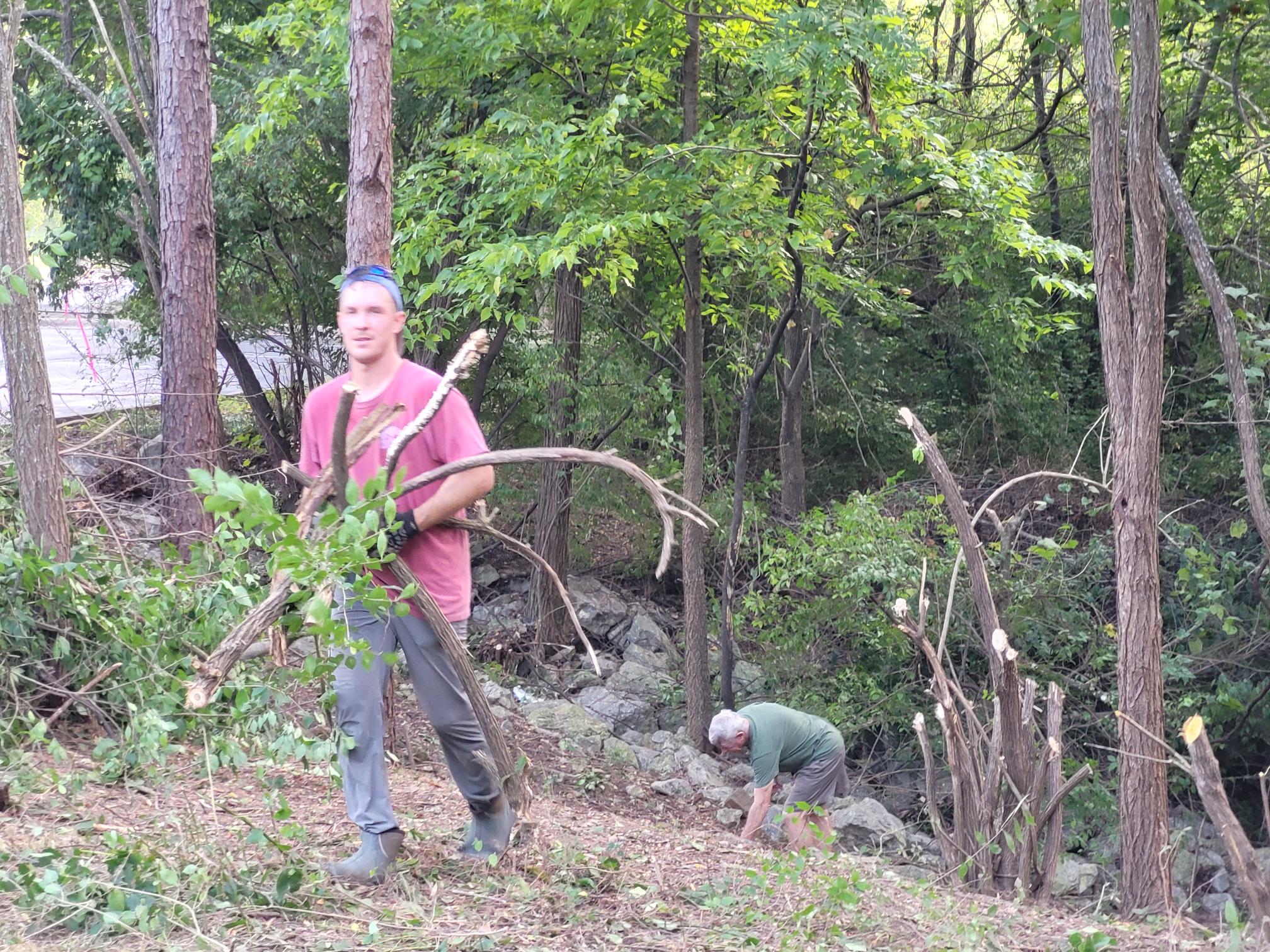 Removing Invasive Species at FUPC - First United Presbyterian Church